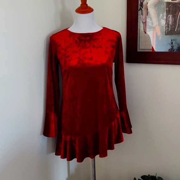 Linea by Louis Dell'Olio | Tops | Linea By Louis Dellolio Velvet Tunic ...